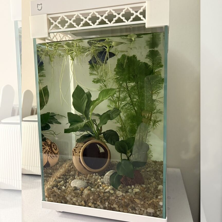 Умный аквариум xiaomi 10 литров