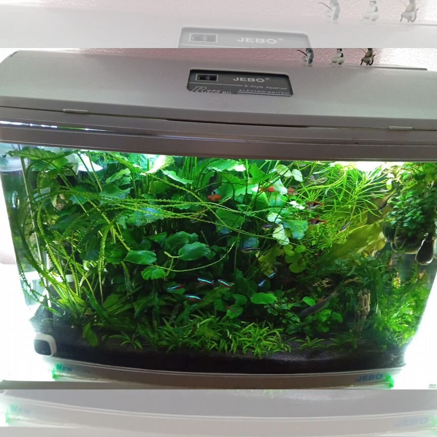 Брендовый Аквариум 143L с периферией