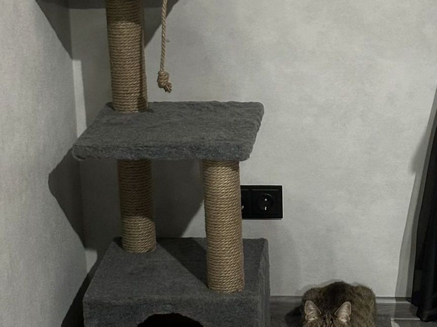 Когтеточка домик для кошки
