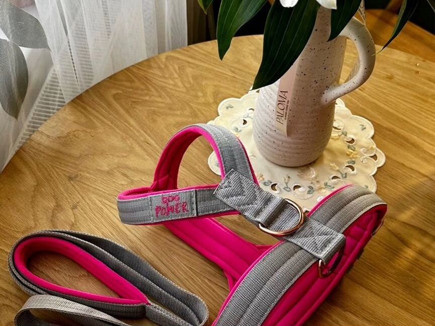 Шлейка и поводок DOG power