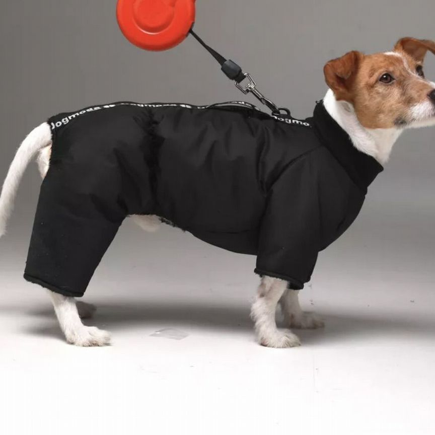 Костюм для собаки зимний
