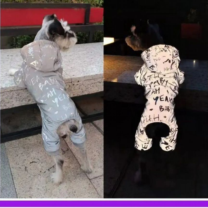 Одежда для собак мелких пород мальчик