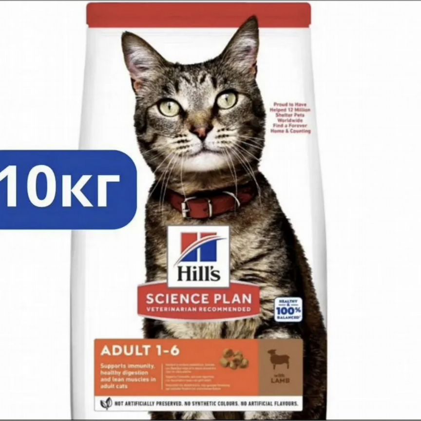 Корм Hills для взрослых кошек с ягненком 10кг