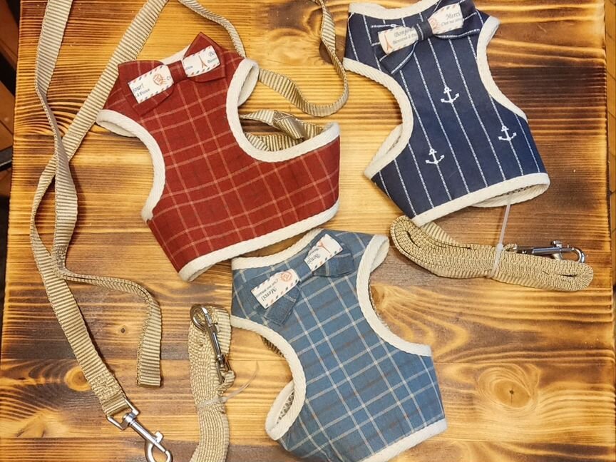 Шлейка для котят / маленьких собак