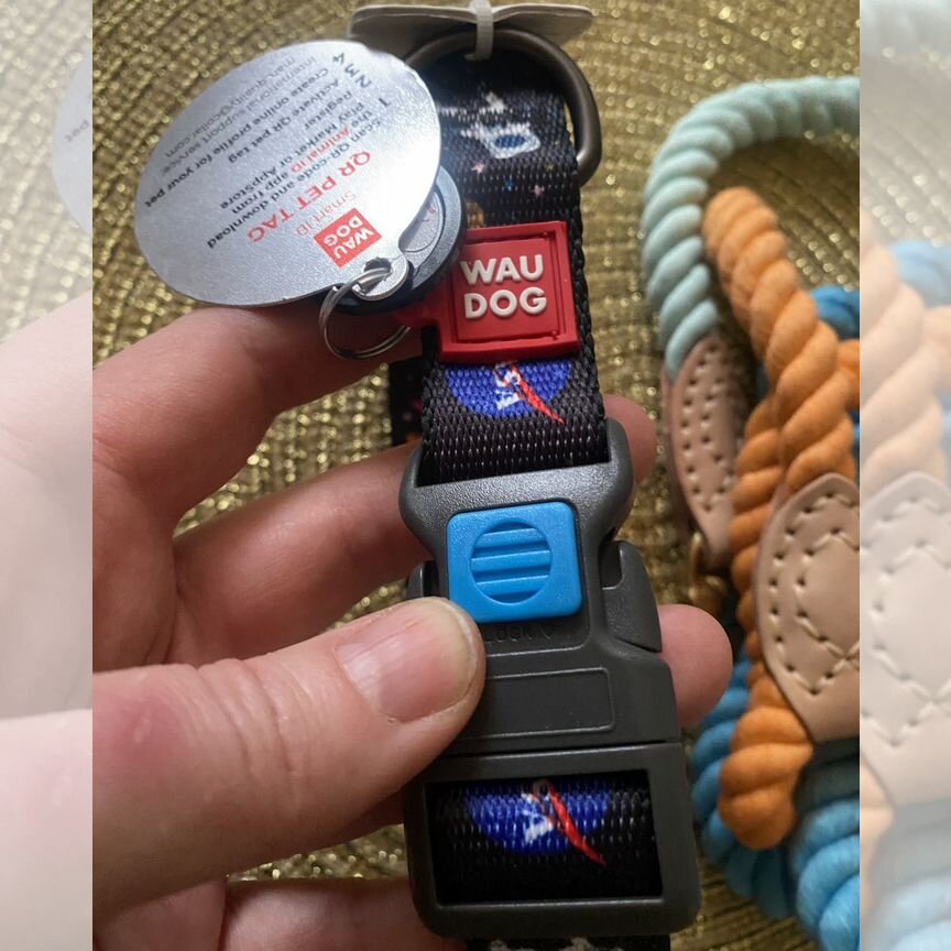 Ошейник и поводок для собак средних пород