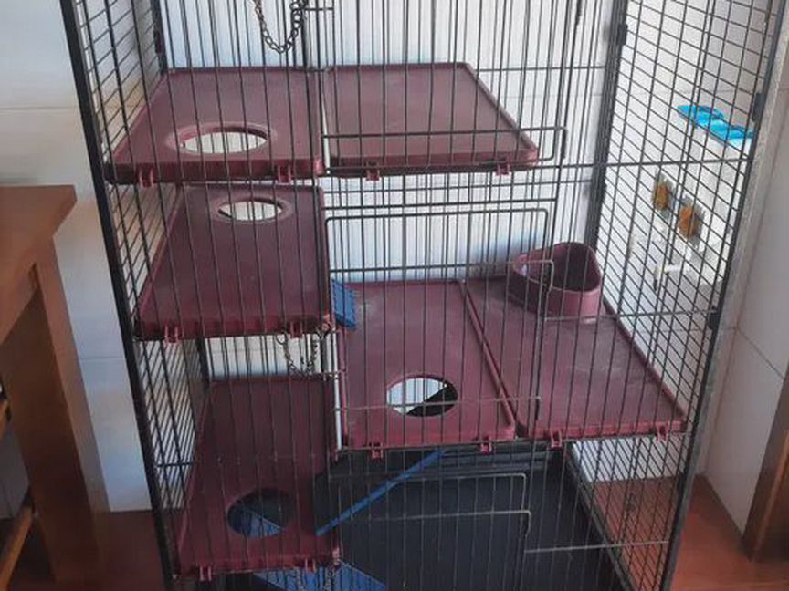 Клетка для хорька птиц шиншилл