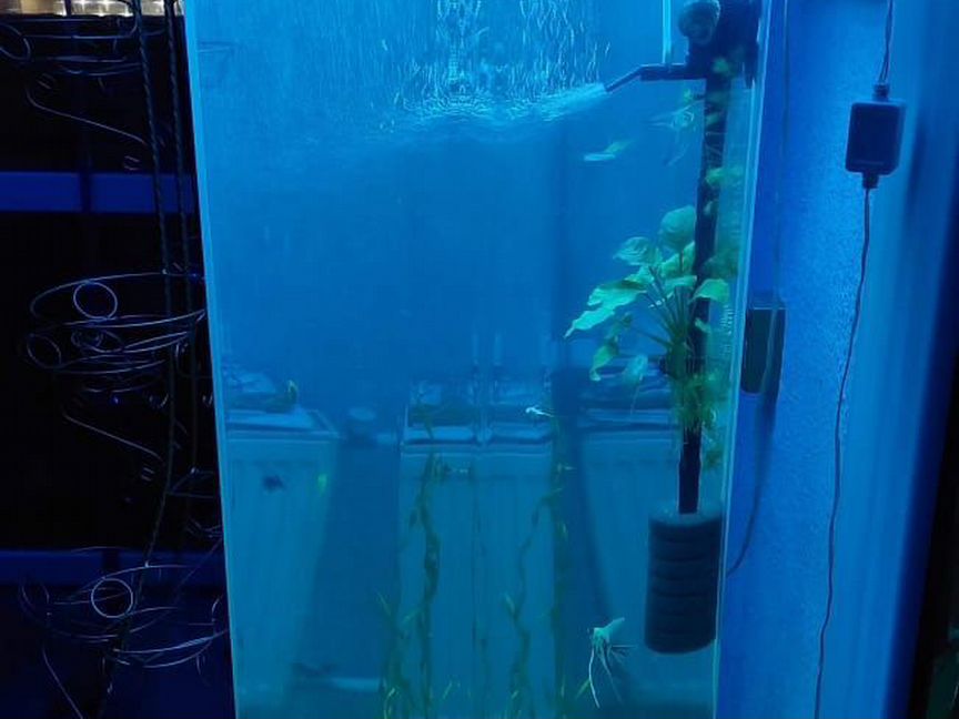 Акриловый аквариум