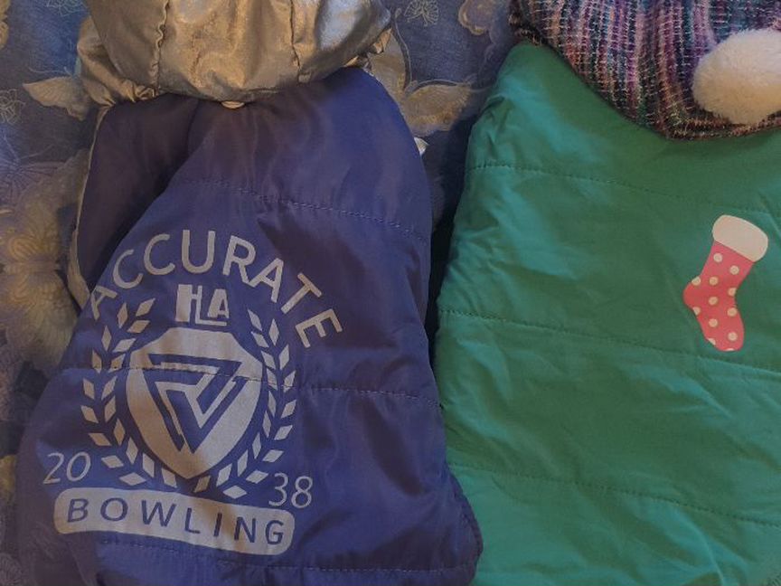 Зимние комбинезоны для собаки мальчика