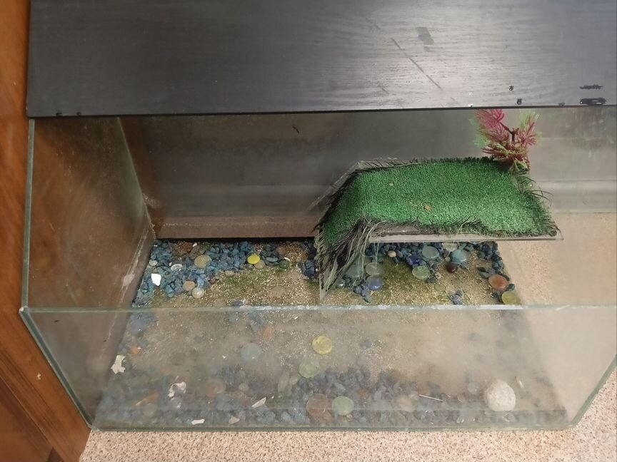 Аквариум для черепахи