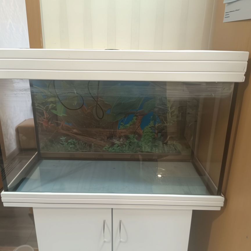 Аквариум с белый тумбой 150л