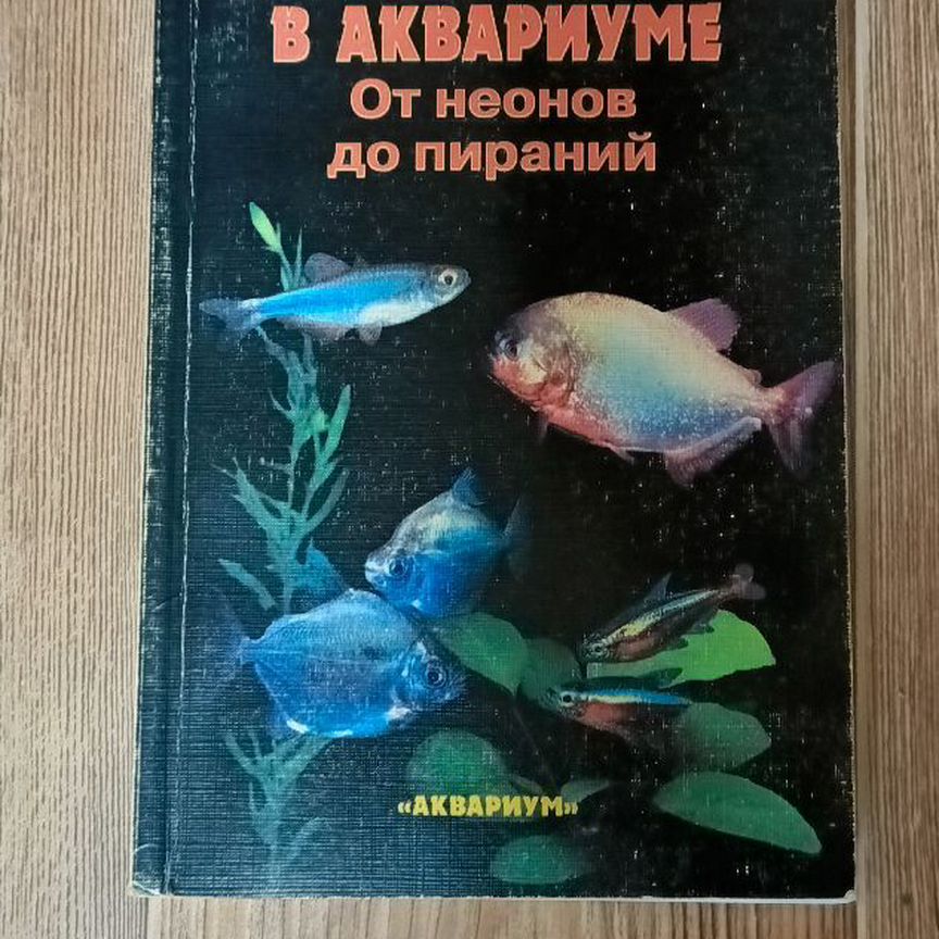 Харациновидные в аквариуме От неонов до пираний