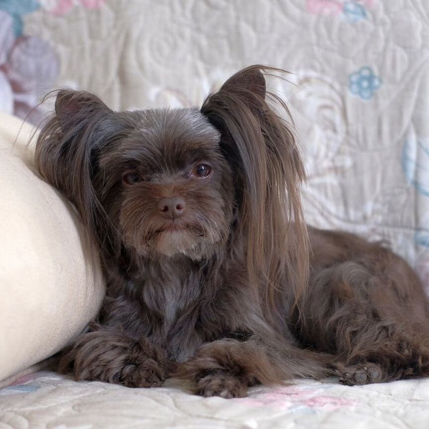 Маленькая девочка