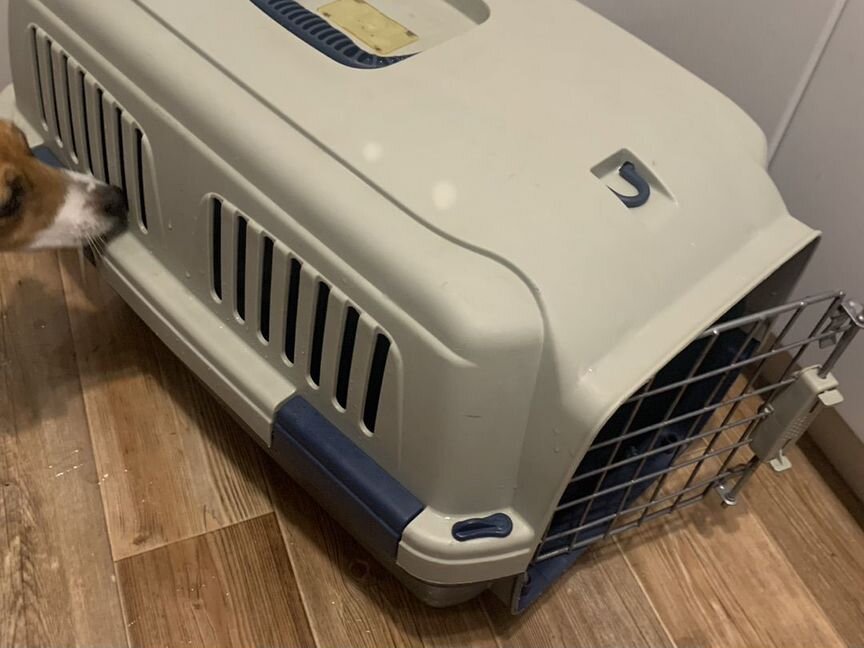 Переноска для кошек и собак