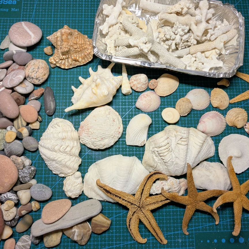 Ракушки, морская галька, звёзды, ракушки