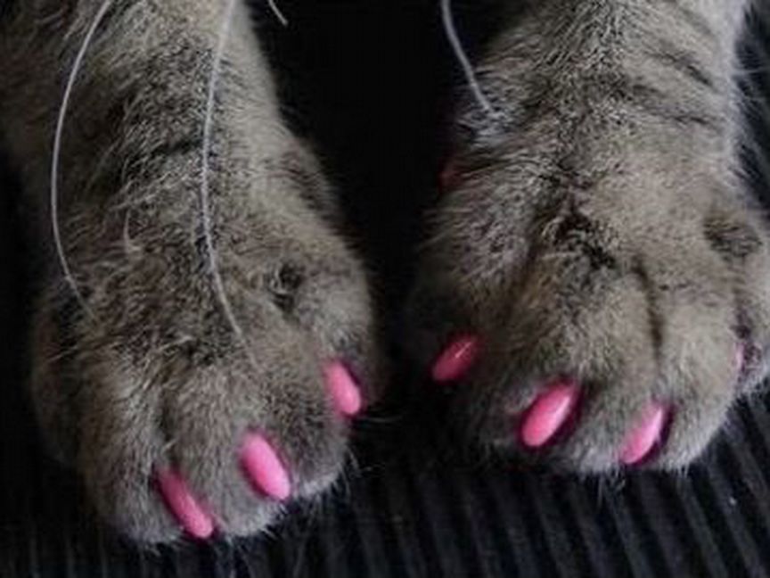 Защитные колпачки для когтей