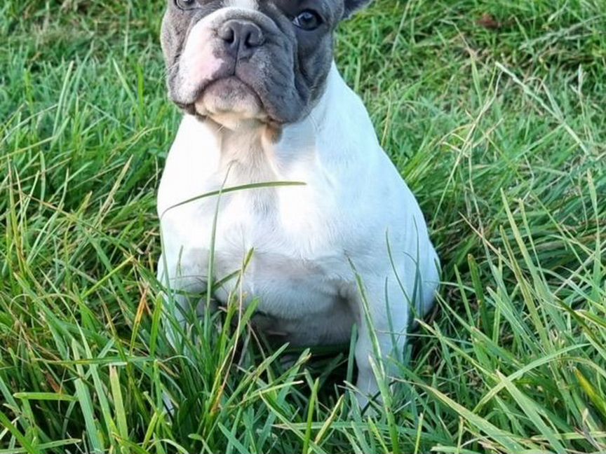 Компактная девочка