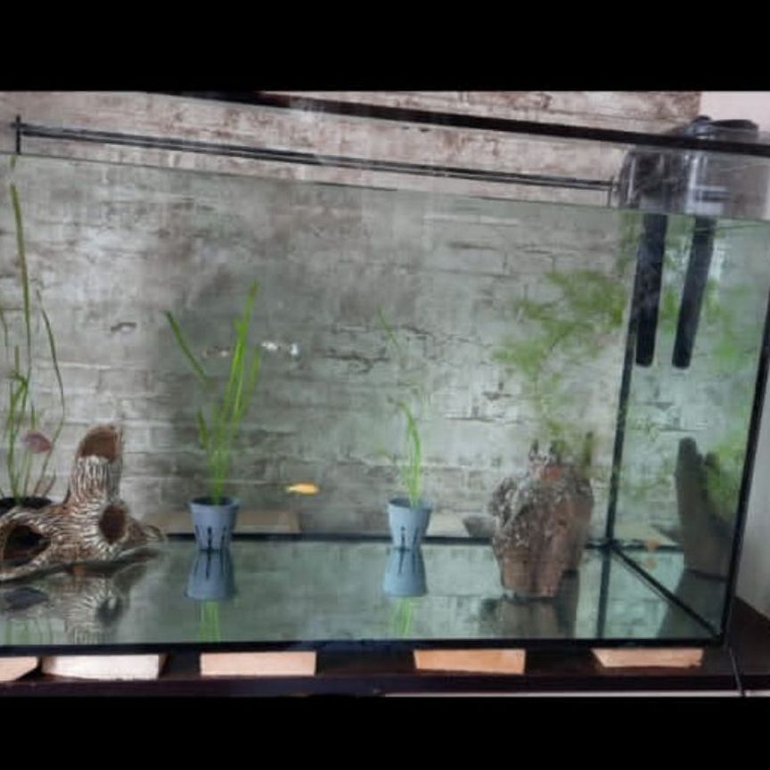 Аквариум 120л