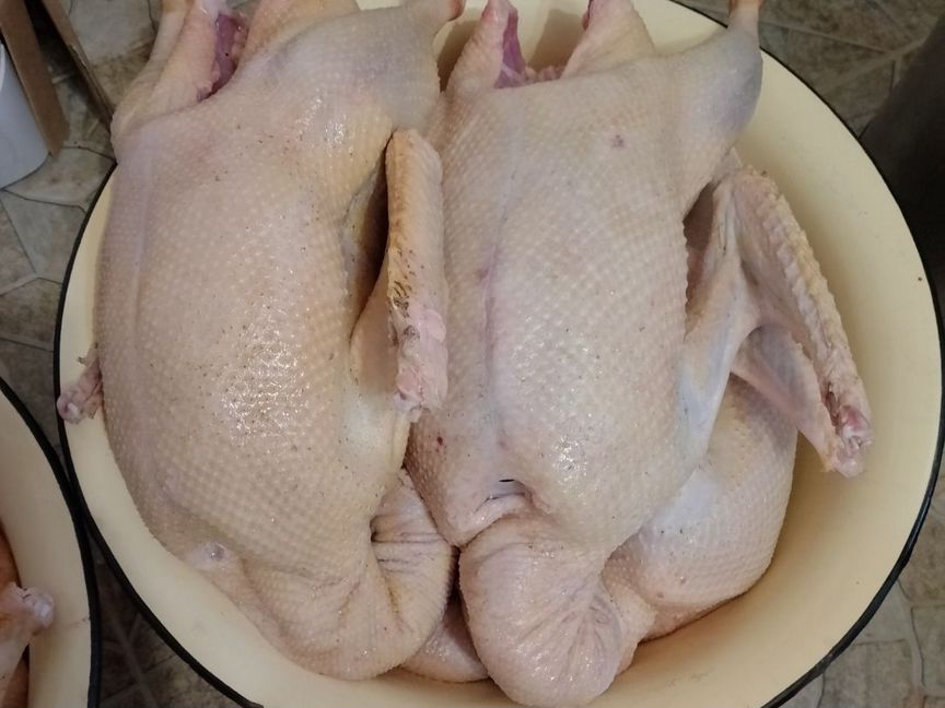 Продам мясо гуся