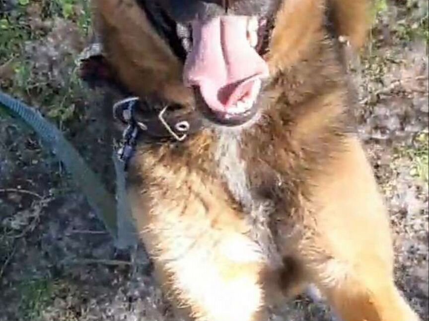 Мальчишка из, черного приюта