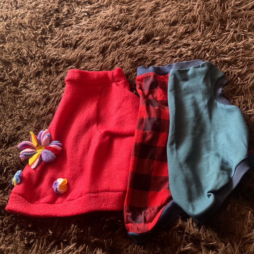 Кофточки для животных