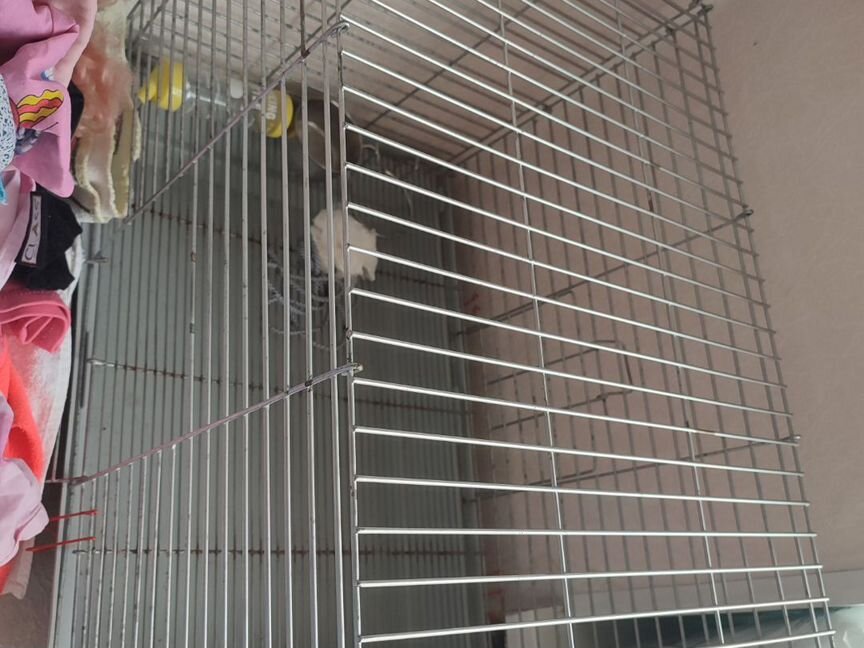 Клетка для грызунов