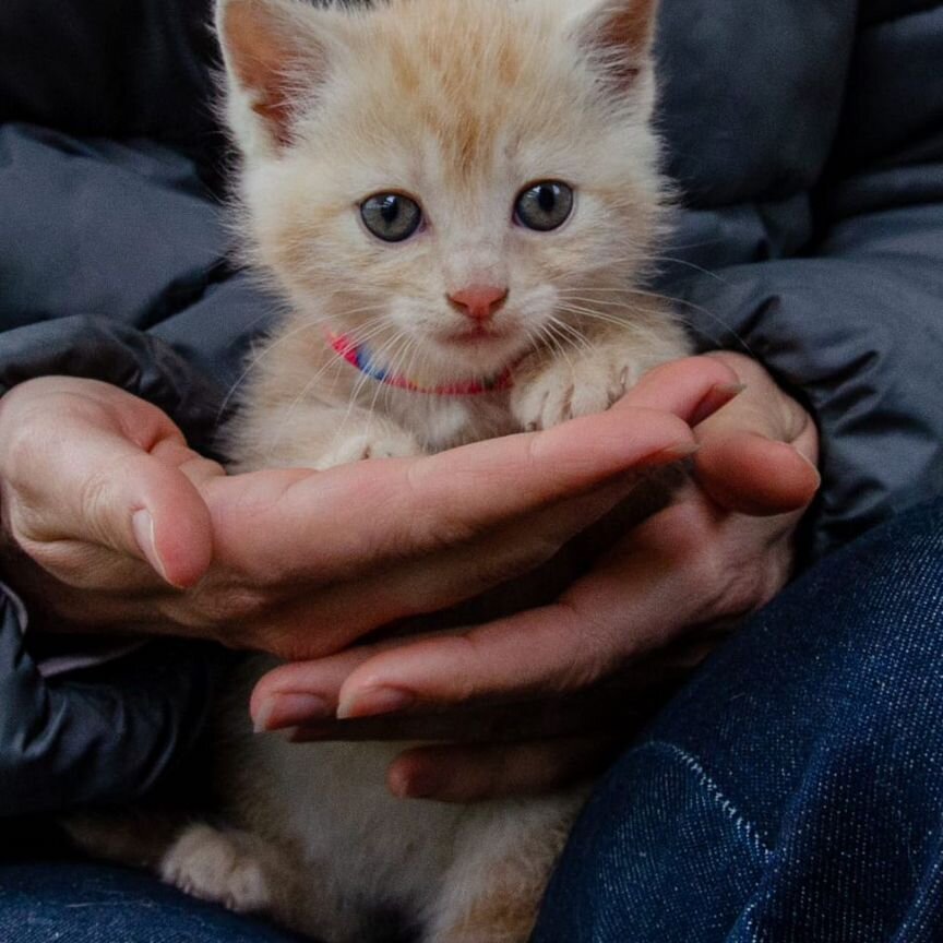 Малышка ищет семью