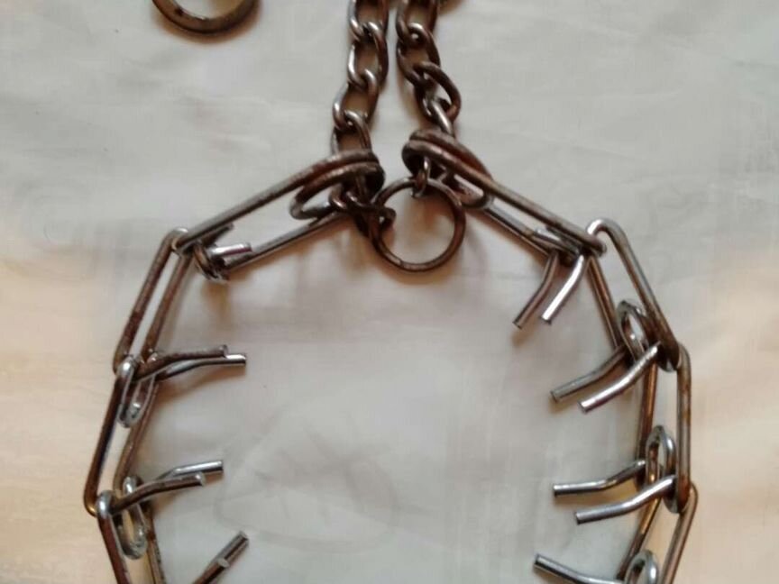 Строгий ошейник для собак