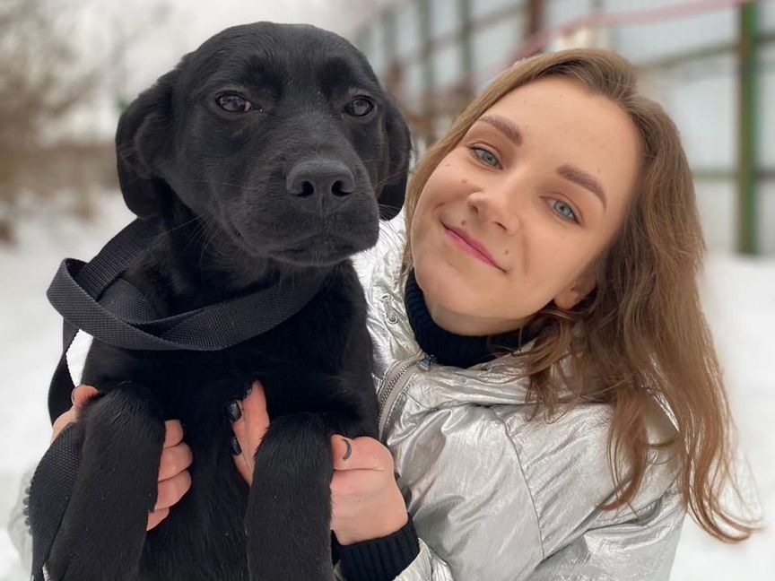 Щеночек Клюква. Приют Некрасовка. В дар