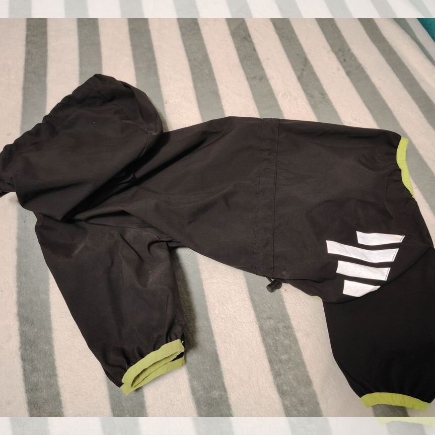 Одежда для собак средних пород