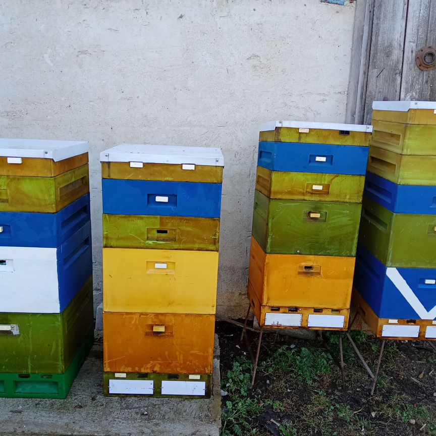 Улья 12 рамочные,дадан