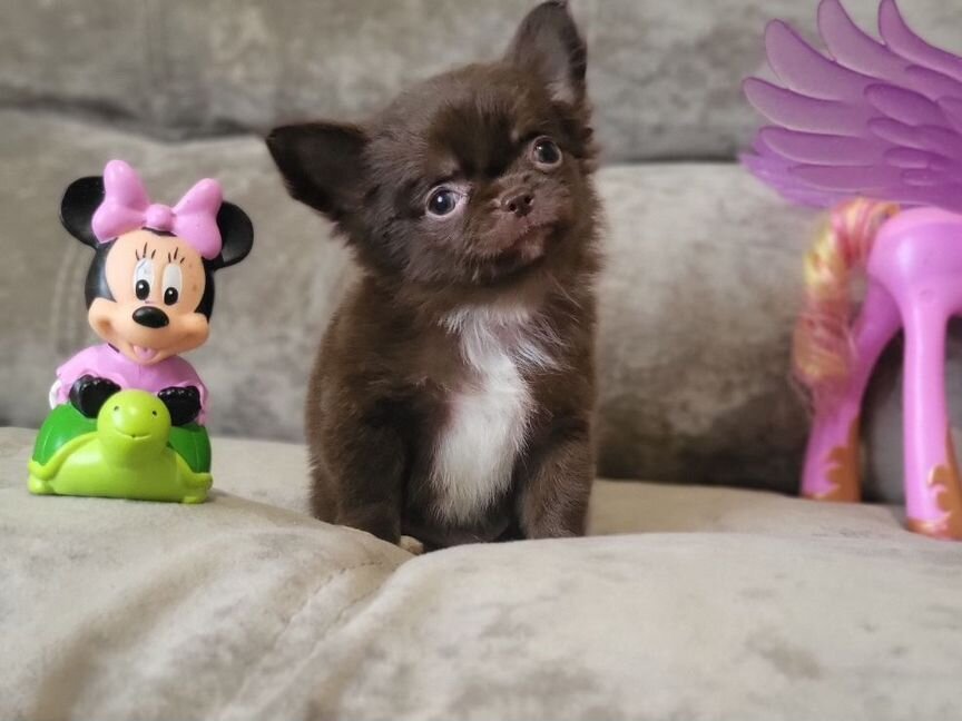 Мини шоколадочка