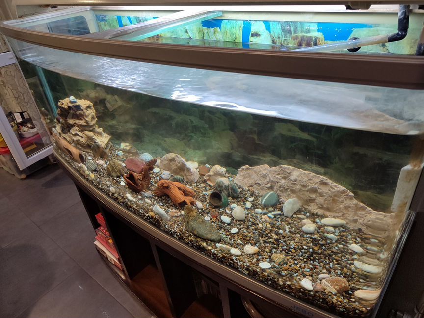 Аквариум на 500литров с тумбой и фильтром