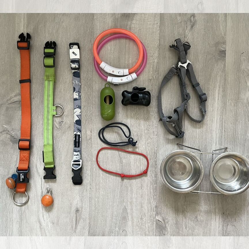 Амуниция для собак