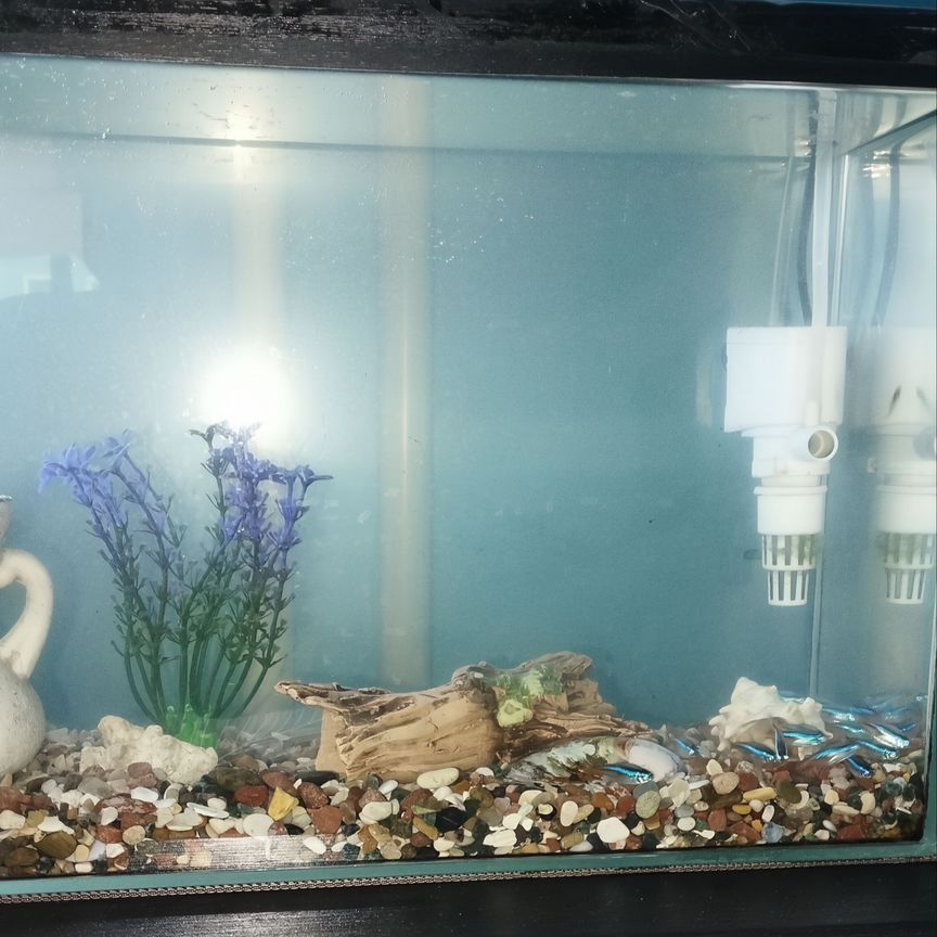 Аквариум 15 литров с рыбками