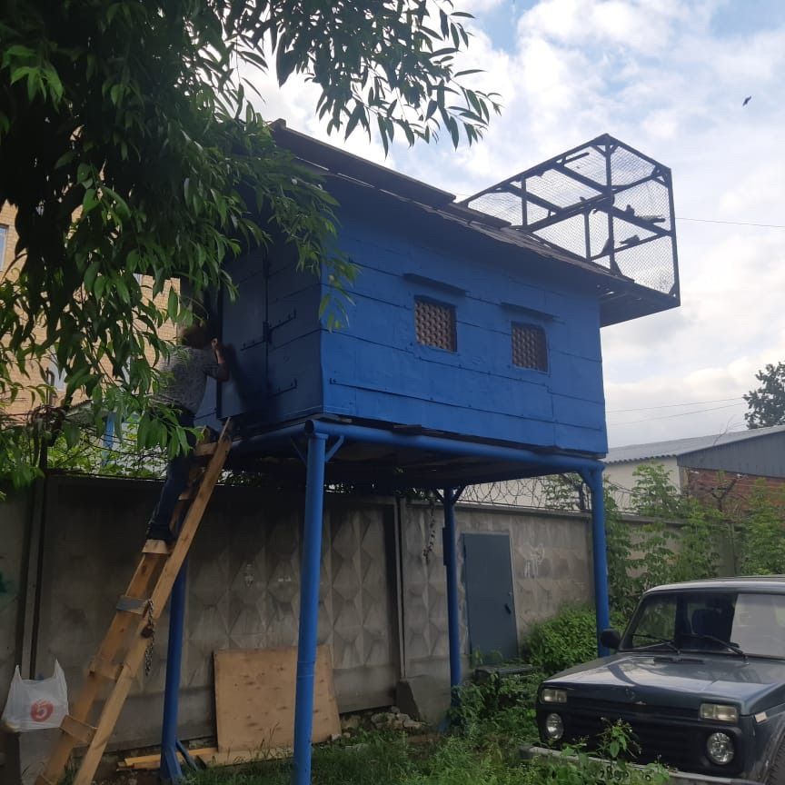 Продам голубятню