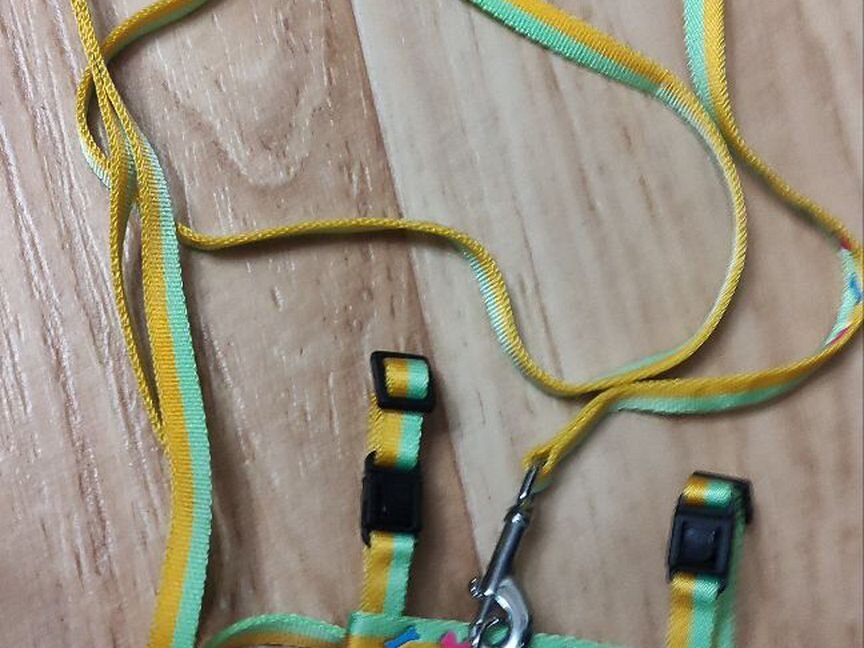 Шлейка для кошки