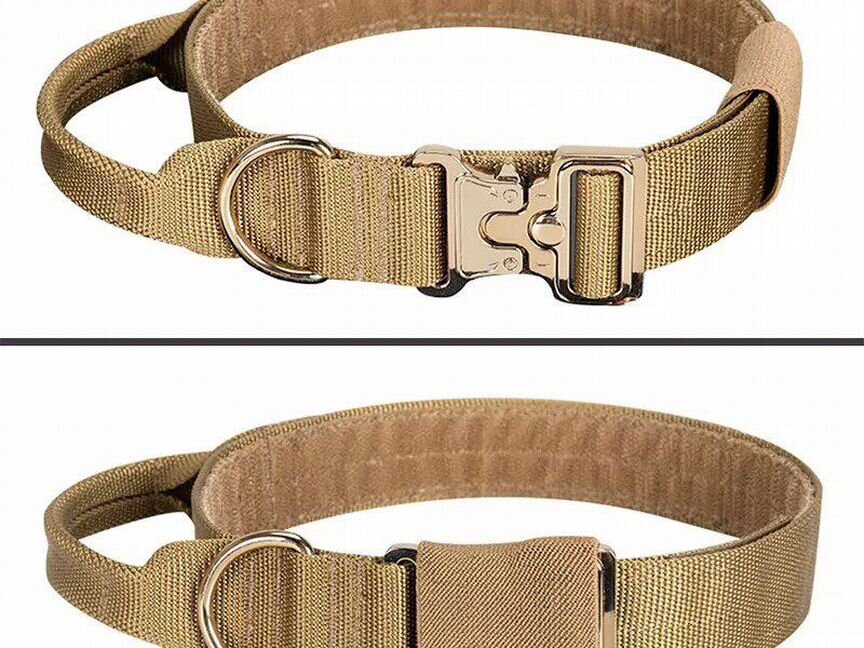 Ошейник тактический + очки