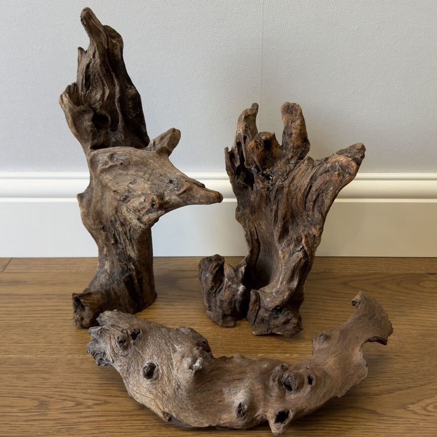 Коряги для аквариума мангровая настоящее дерево