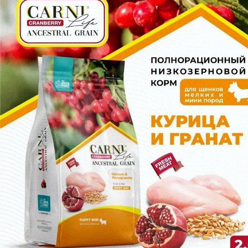 Сухой корм для собак