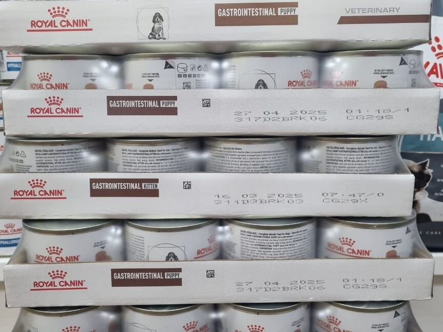 Корм для котят и щенков royal canin gastro