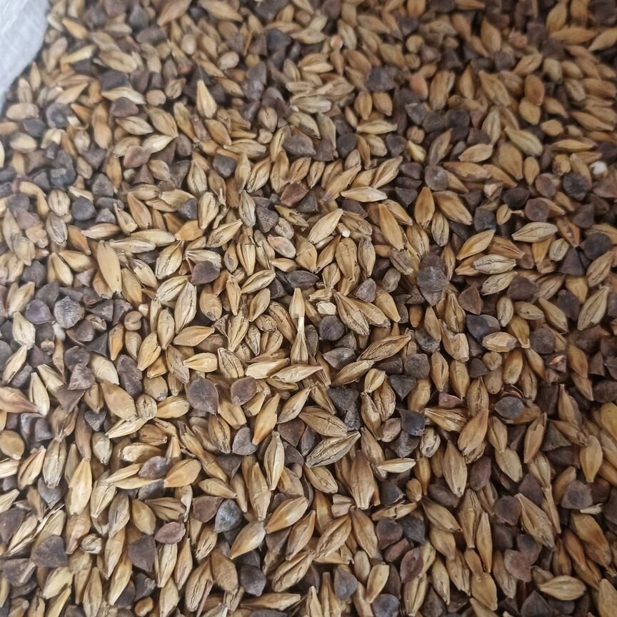 Ячмень+Гречка