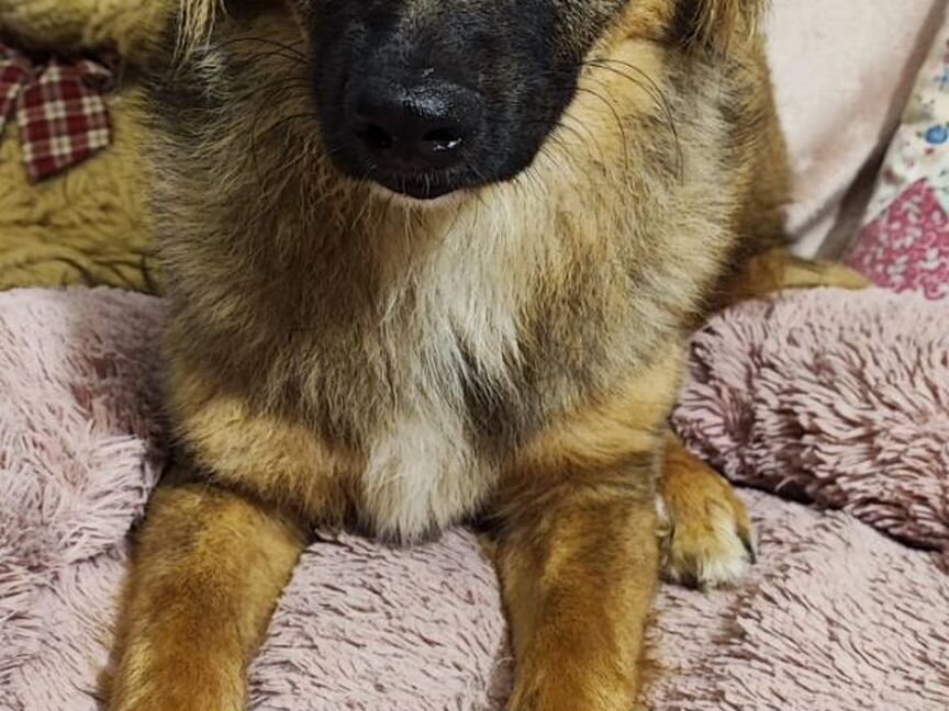 Ищу мамочку