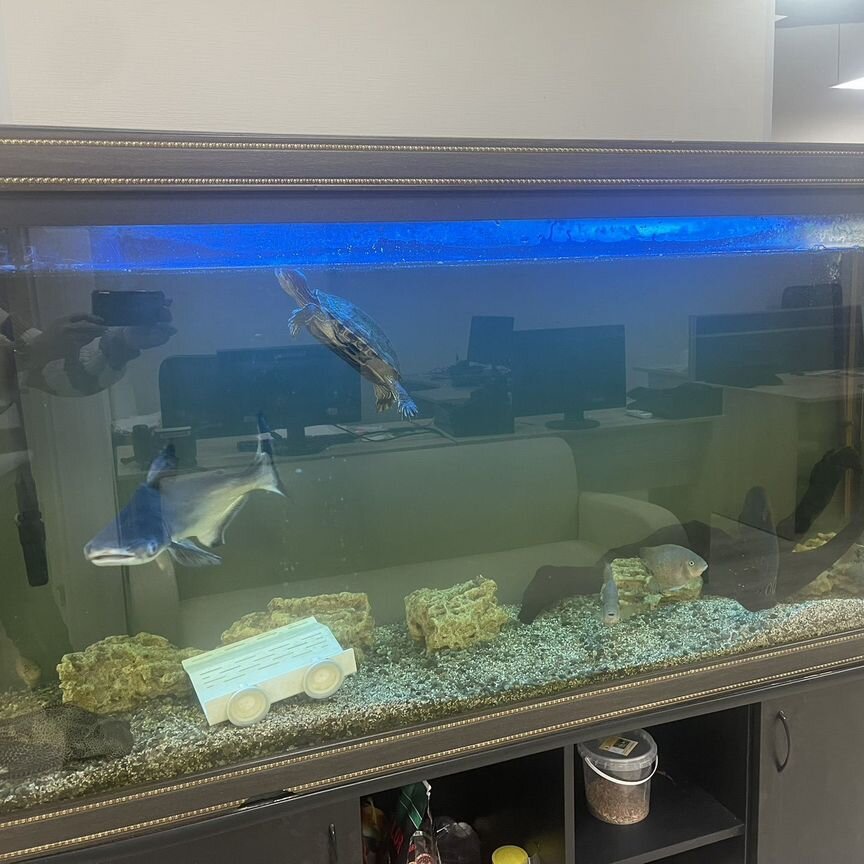 Аквариум большой с рыбами и всем оборудованием