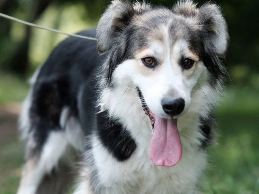 Ищу свою семью