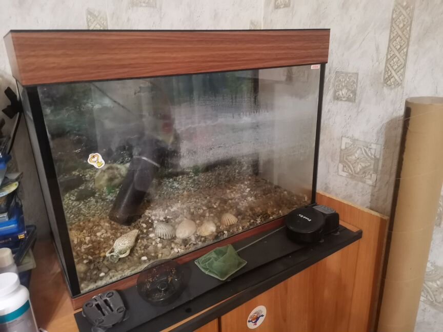 Аквариум 66*28*50 бу + грунт+ фильтр+ кормушка