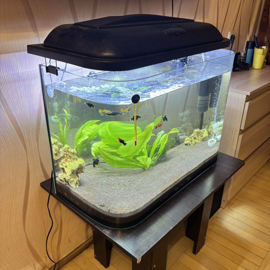 Аквариум 90л