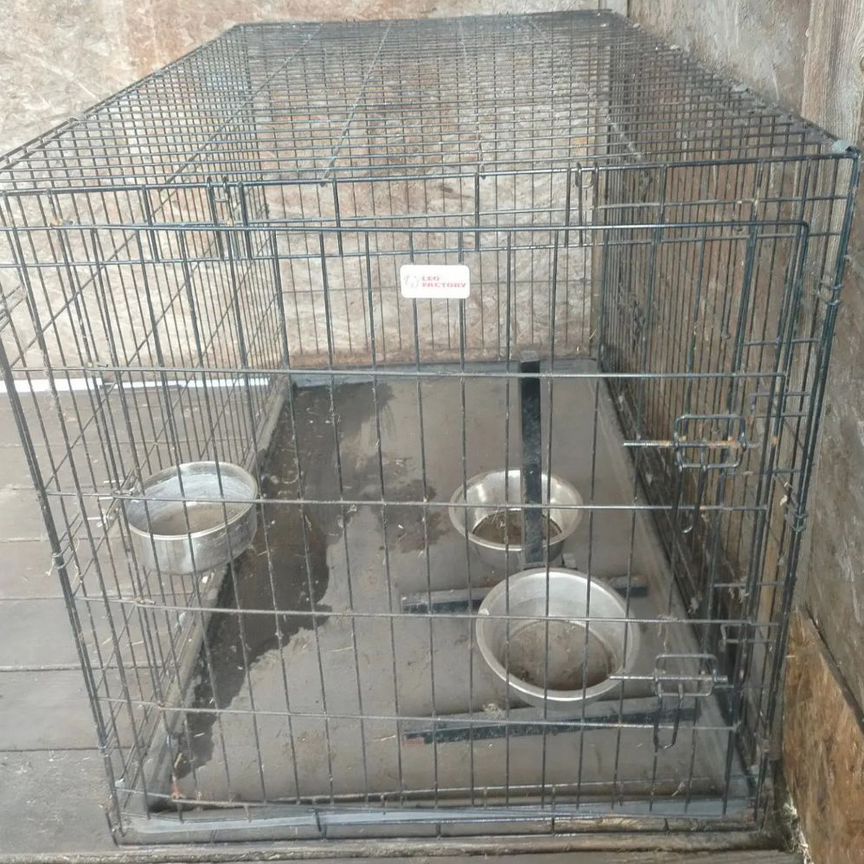 Клетка для собак