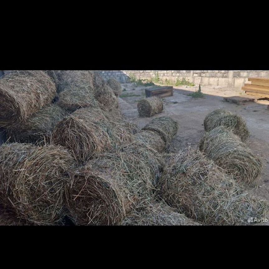 Сено в мини рулонах, и большие тюки