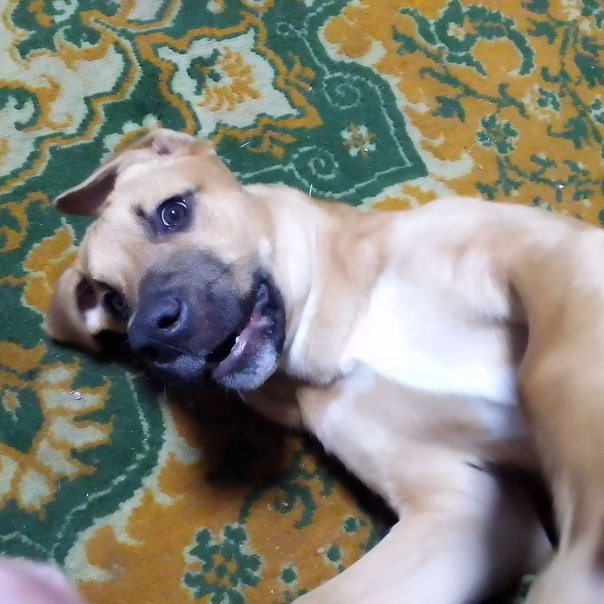 Кабель 5месяцев