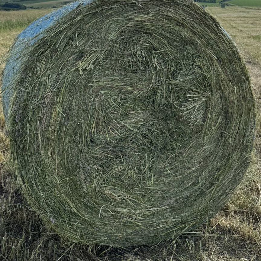 Сено в рулонах
